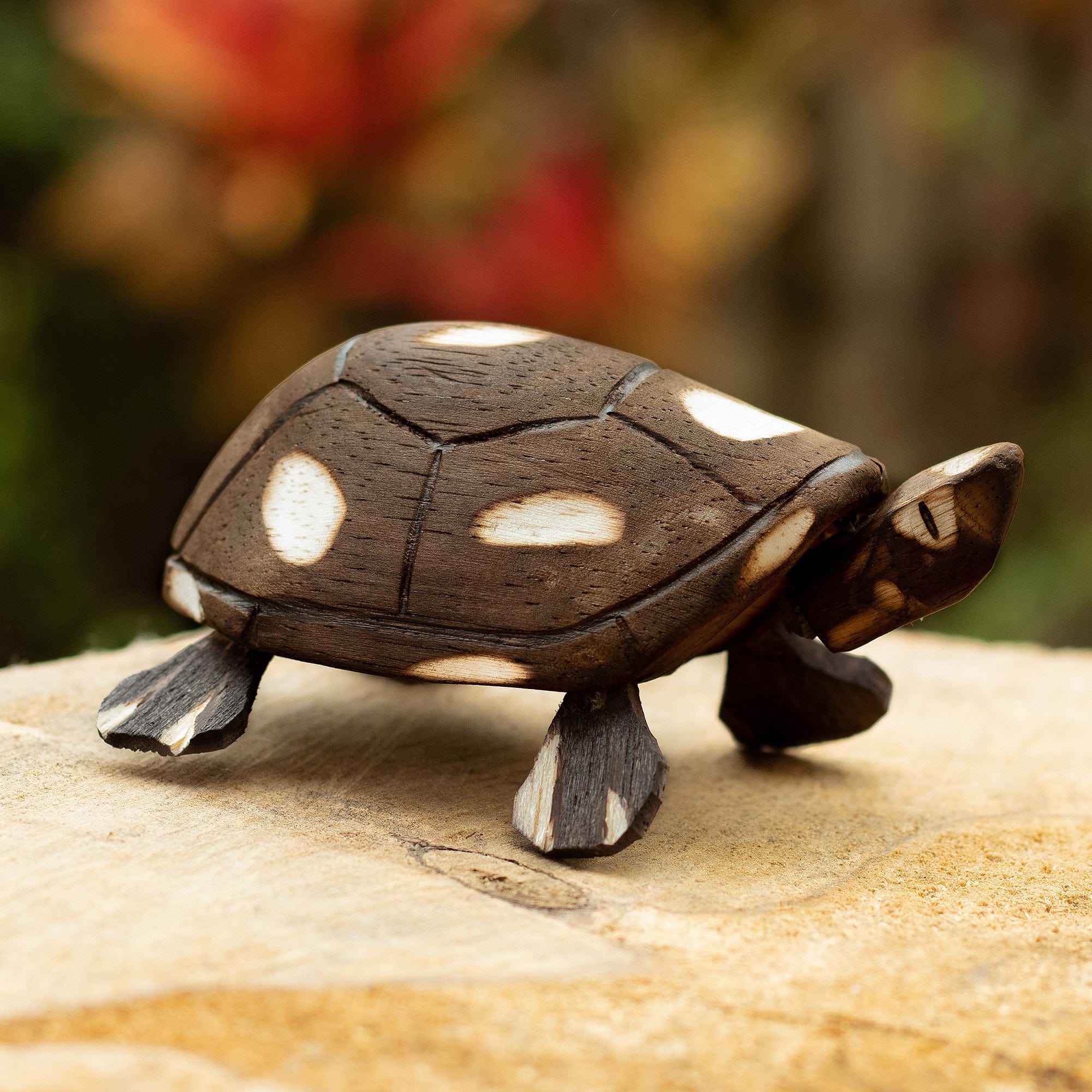 Handmade Wooden Tortoise from the Peruvian Amazon - Rainforest Tortois ...