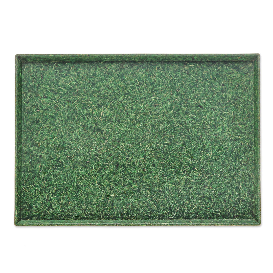 Green Recycled Coconut Fiber Bio-Composite Tray - Green Ambience – GlobeIn